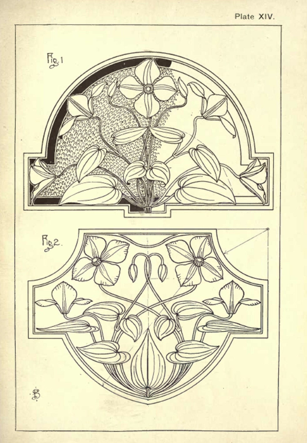 NATURE DRAWING and DESIGN With 12 Plants and 100 Illustrations - Etsy