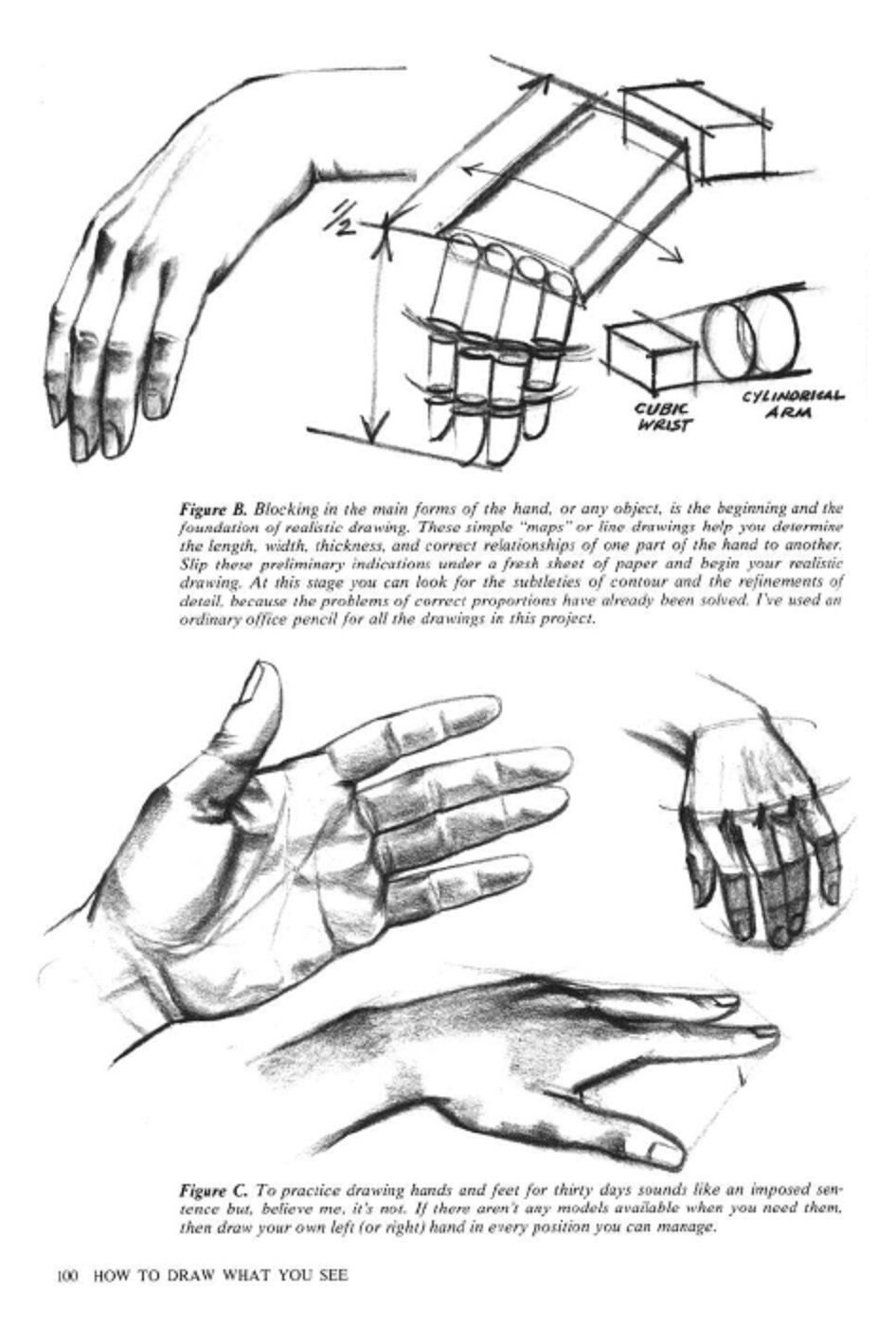 How to Draw What You See Learn to Draw Things as You See Them Learn to ...