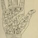 Indian Palmistry Teach Yourself Palm Reading Astrology Numerology ...