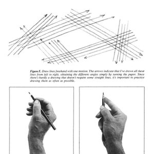 How to Draw What You See - Learn to Draw Things as You See Them - Learn ...