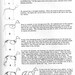 How to Draw Animals Instructions for Drawing Animals With More Than a ...