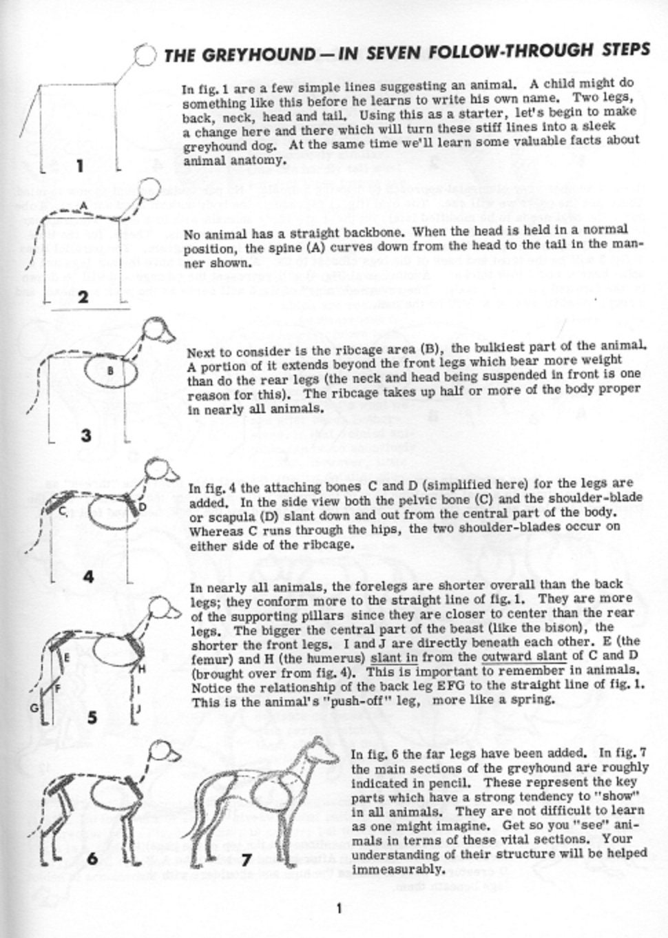 How to Draw Animals Instructions for Drawing Animals With More Than a ...