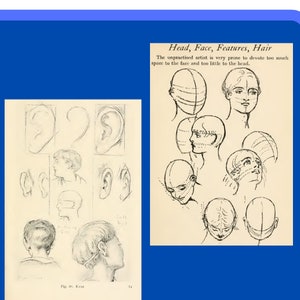 DRAWING for BEGINNERS an Illustrated Handbook on Learning to Draw ...