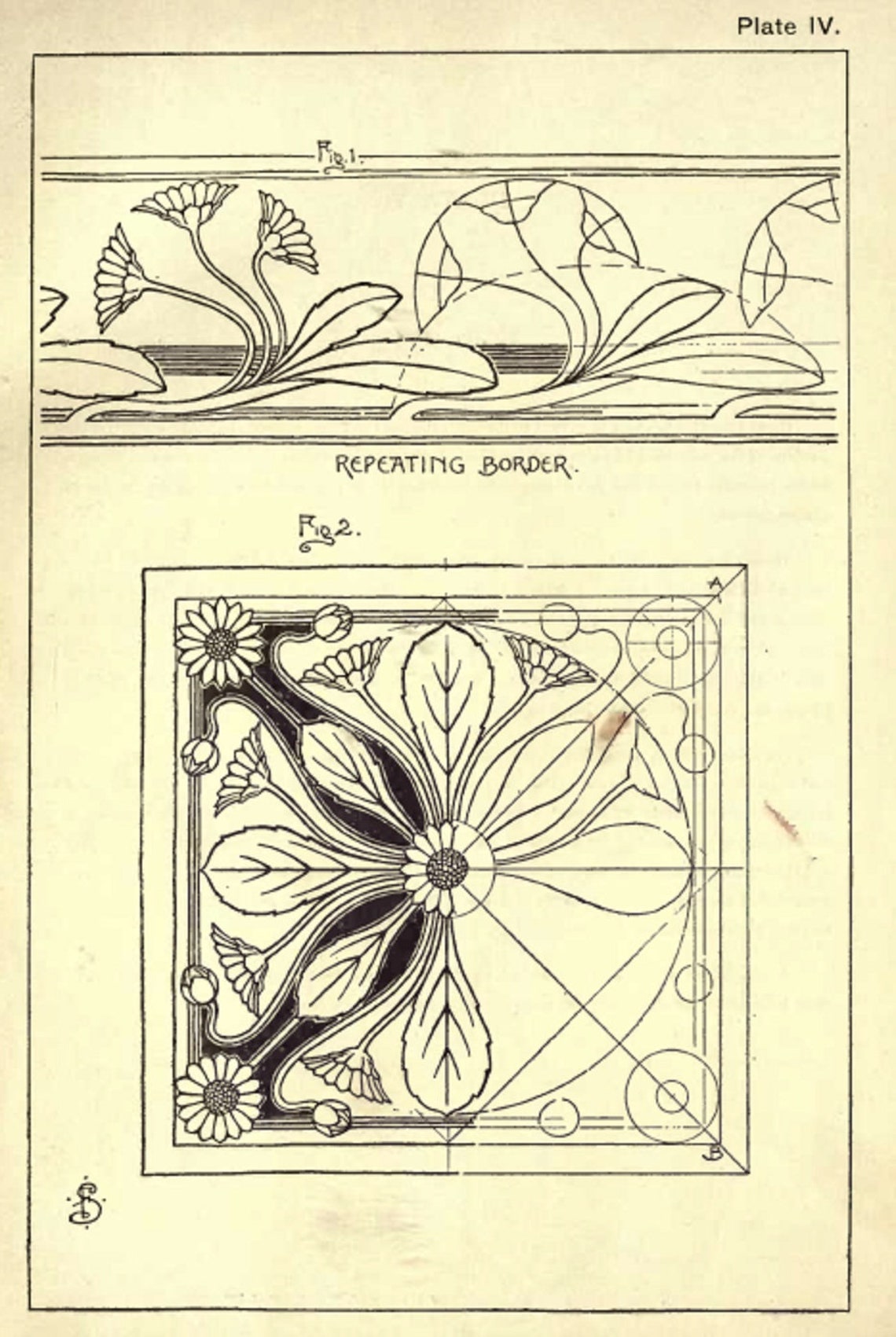 NATURE DRAWING and DESIGN With 12 Plants and 100 Illustrations - Etsy