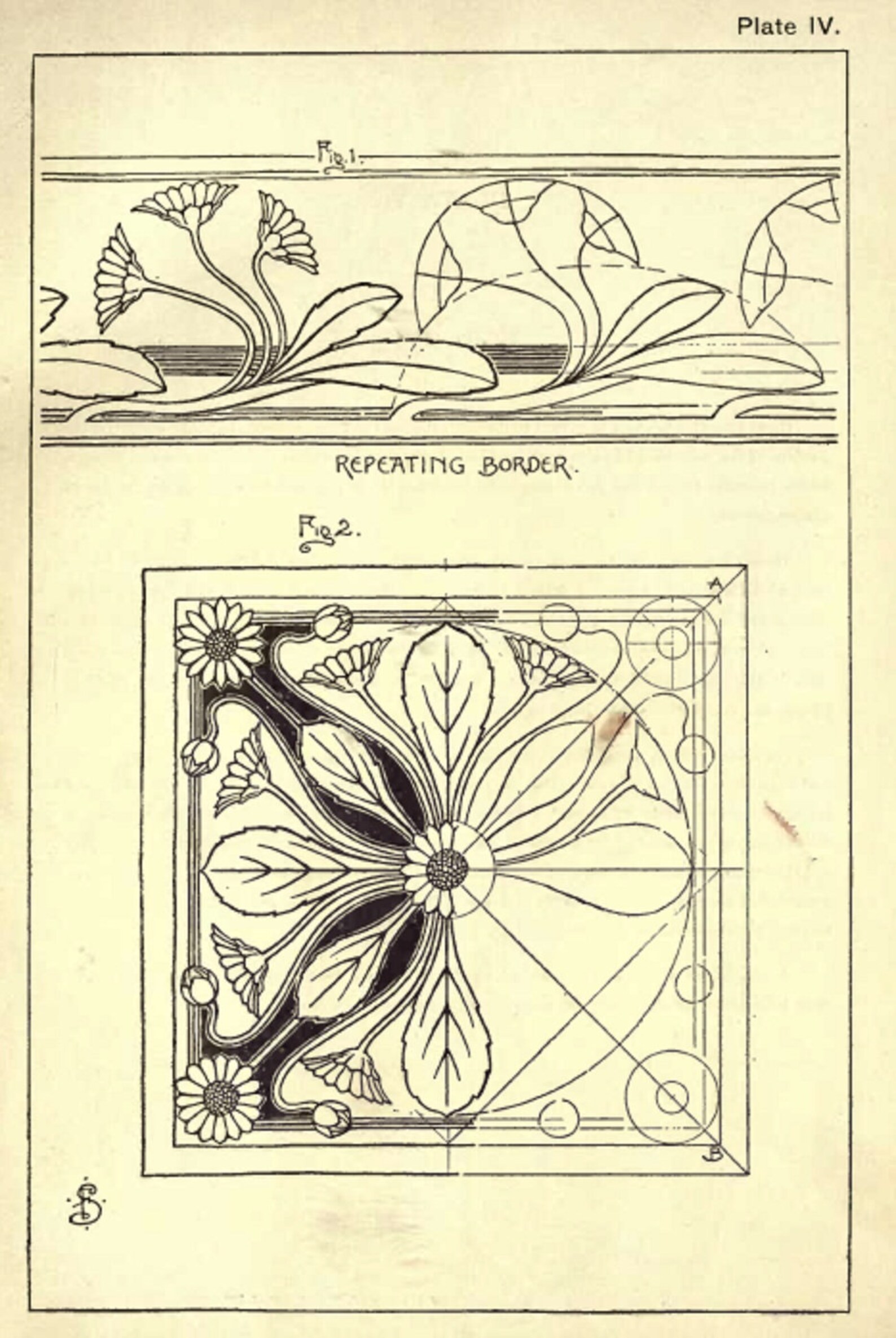 NATURE DRAWING and DESIGN With 12 Plants and 100 Illustrations - Etsy