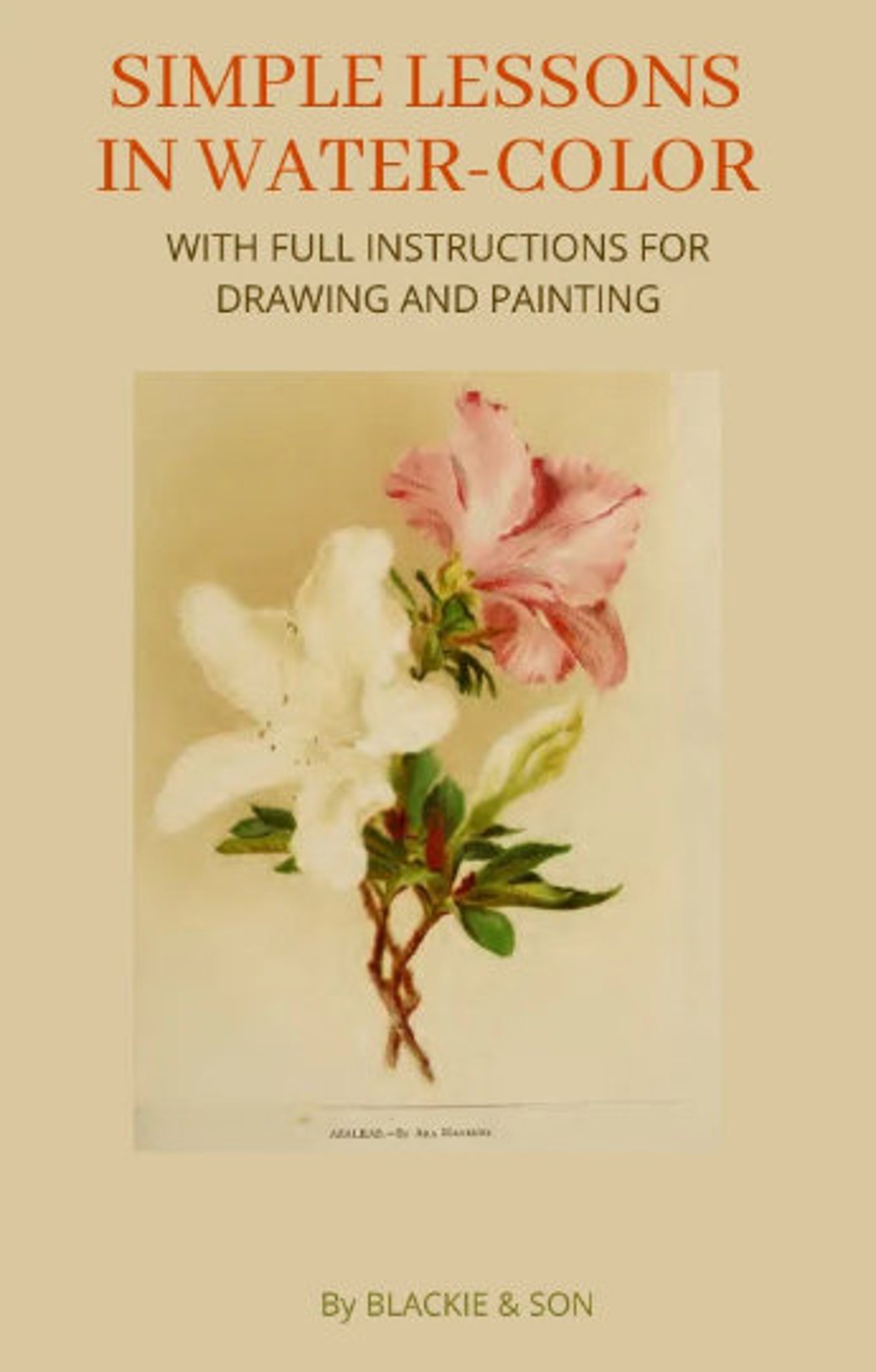 Collection of 5 WATERCOLOUR PAINTING Books - LEARN Watercolour Painting ...