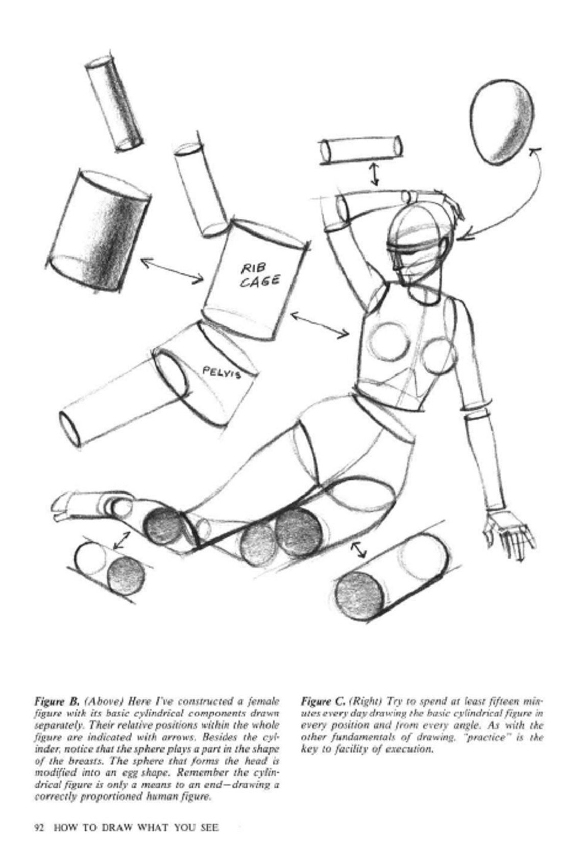 How to Draw What You See Learn to Draw Things as You See Them Learn to ...