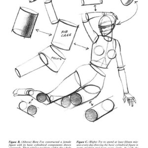 How to Draw What You See - Learn to Draw Things as You See Them - Learn ...