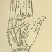 Indian Palmistry Teach Yourself Palm Reading Astrology Numerology ...
