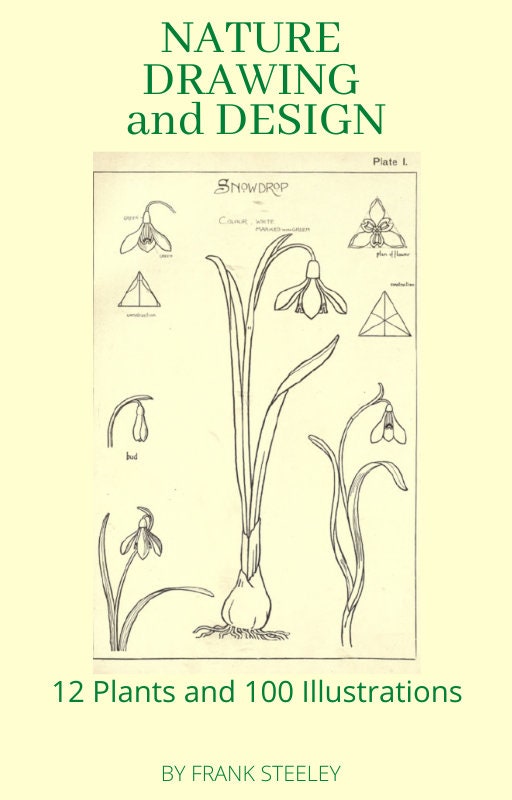 NATURE DRAWING and DESIGN With 12 Plants and 100 Illustrations - Etsy