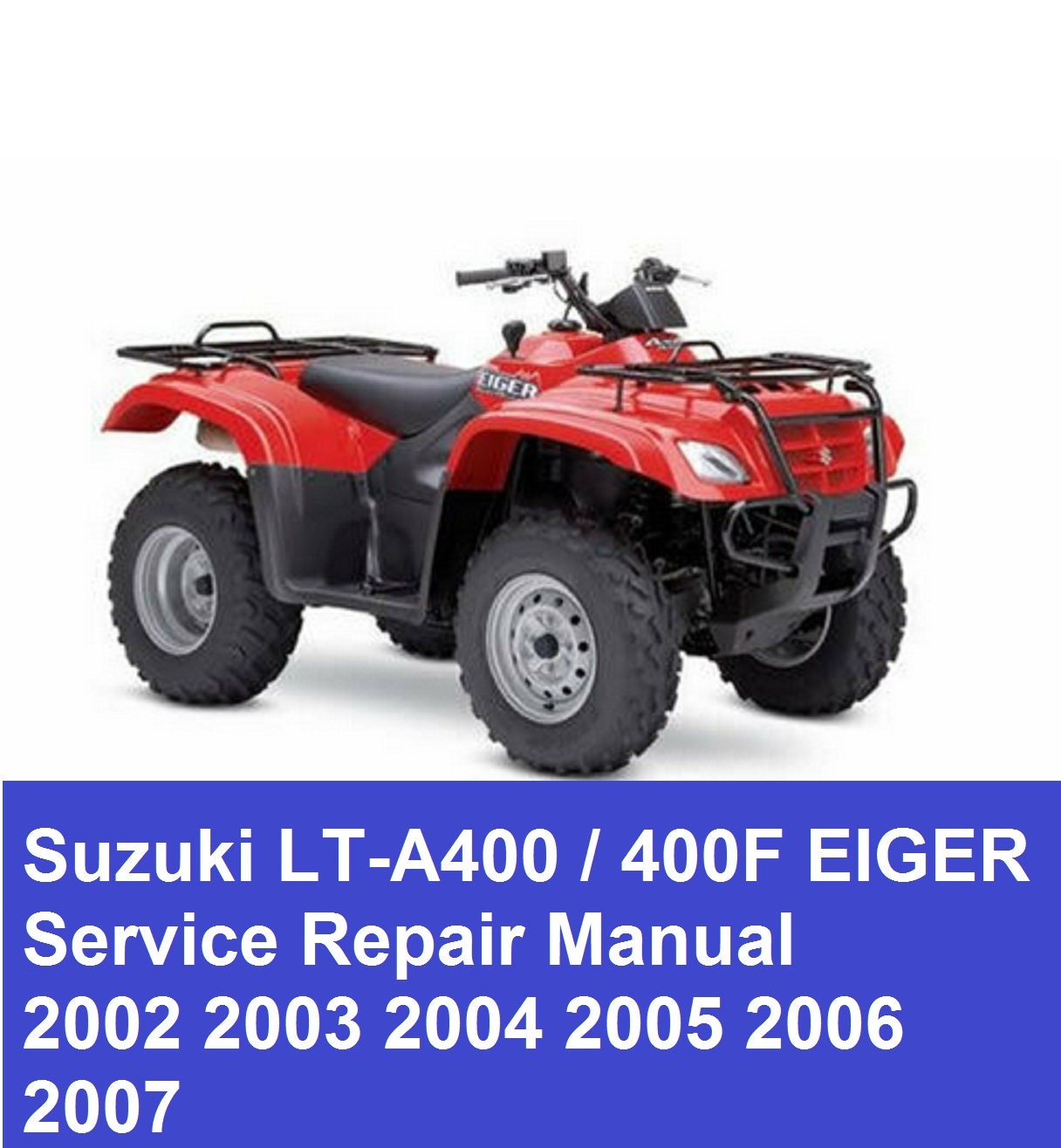 Suzuki Eiger 400 Problems