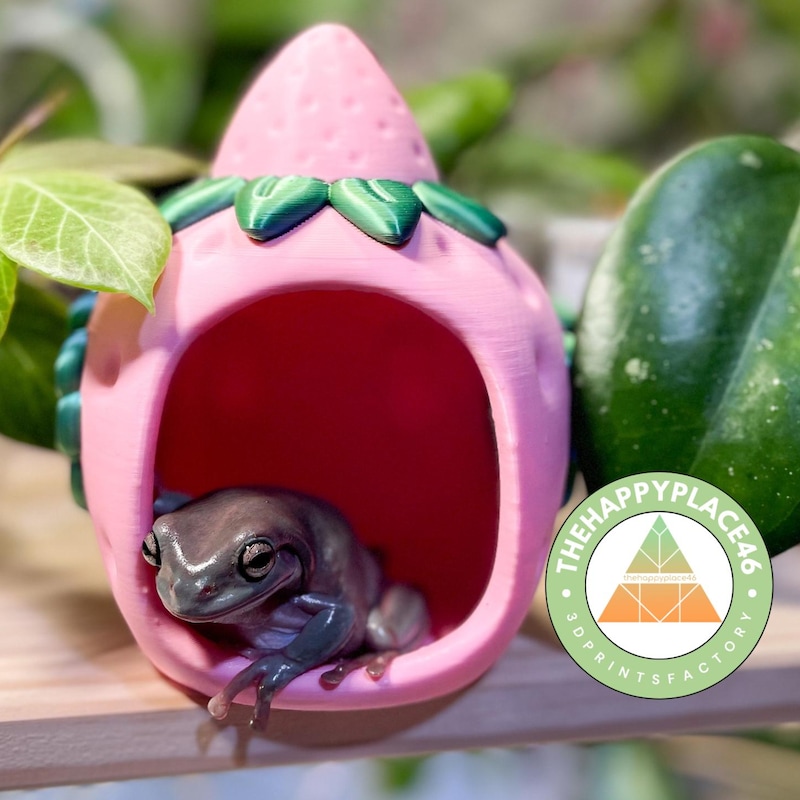 Small Frog Hides - Etsy