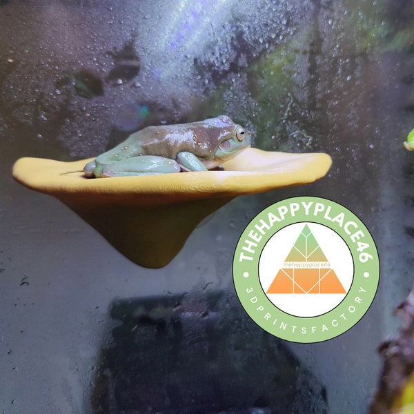 Suction Cup Frog Ledge - Etsy