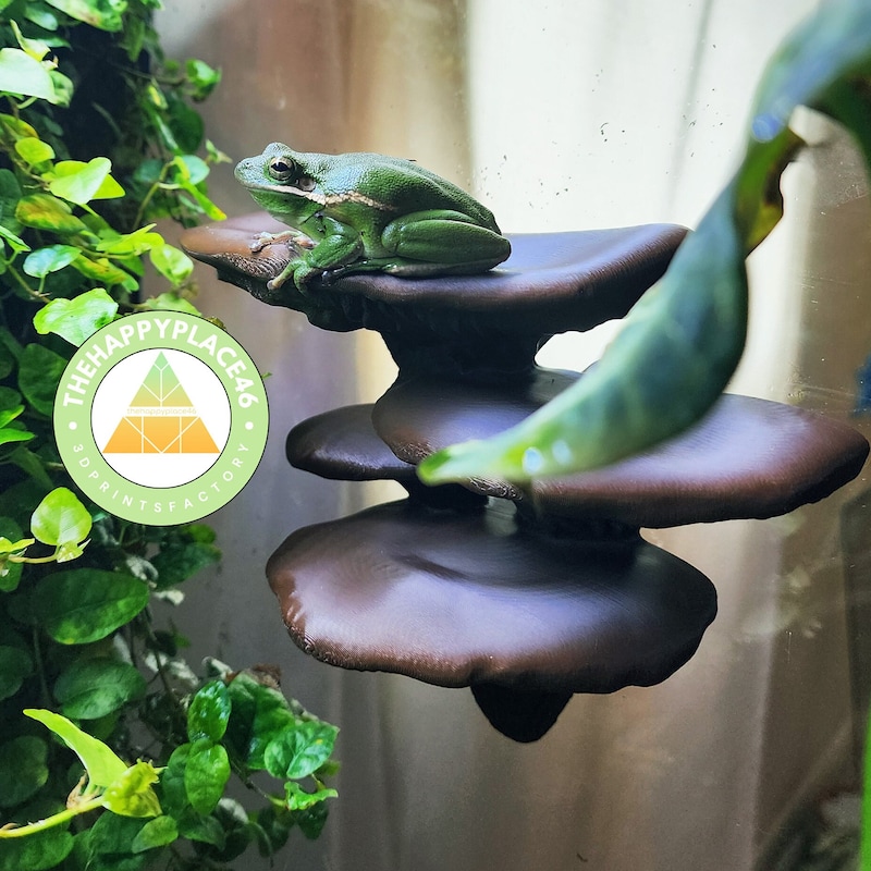 Moss Hide for Gecko - Etsy