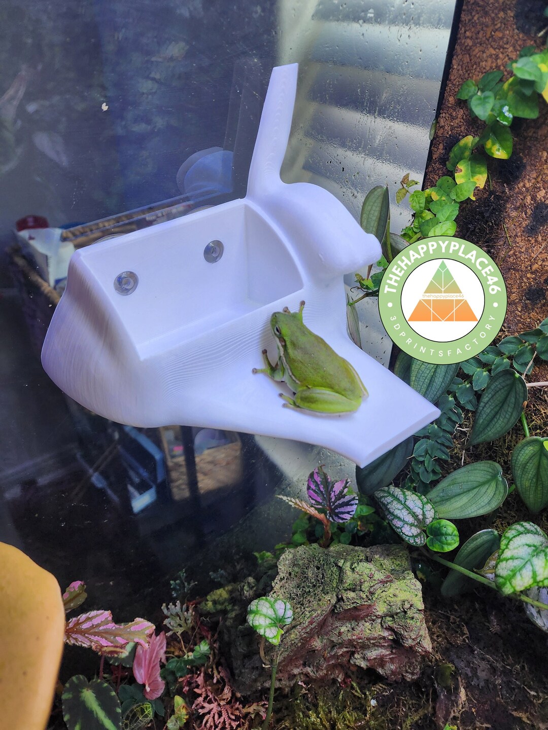 Frog and Gecko Hanging Spaceship Ledge and Water Dish - Etsy