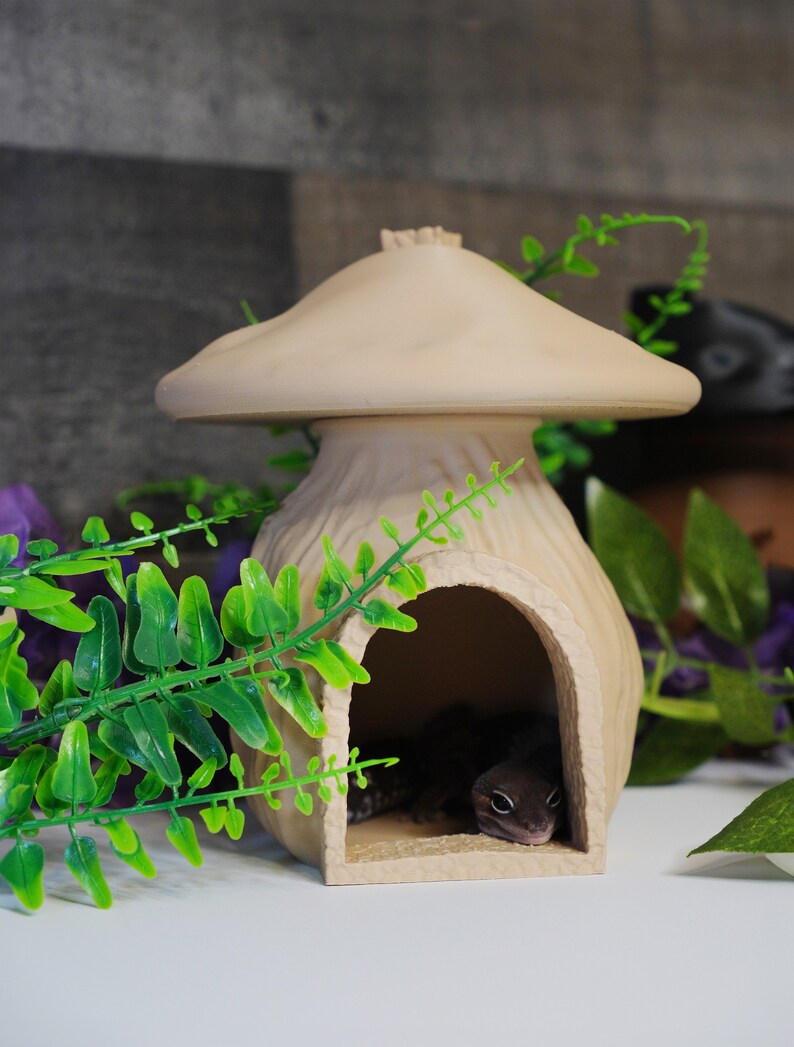 Crested Gecko and Frog Hide Textured Mushroom House - Etsy