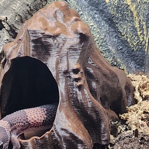 Tree Stump Gecko and Reptile Hide - Etsy