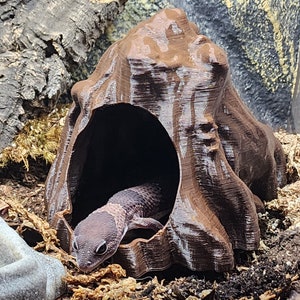 Tree Stump Gecko and Reptile Hide - Etsy