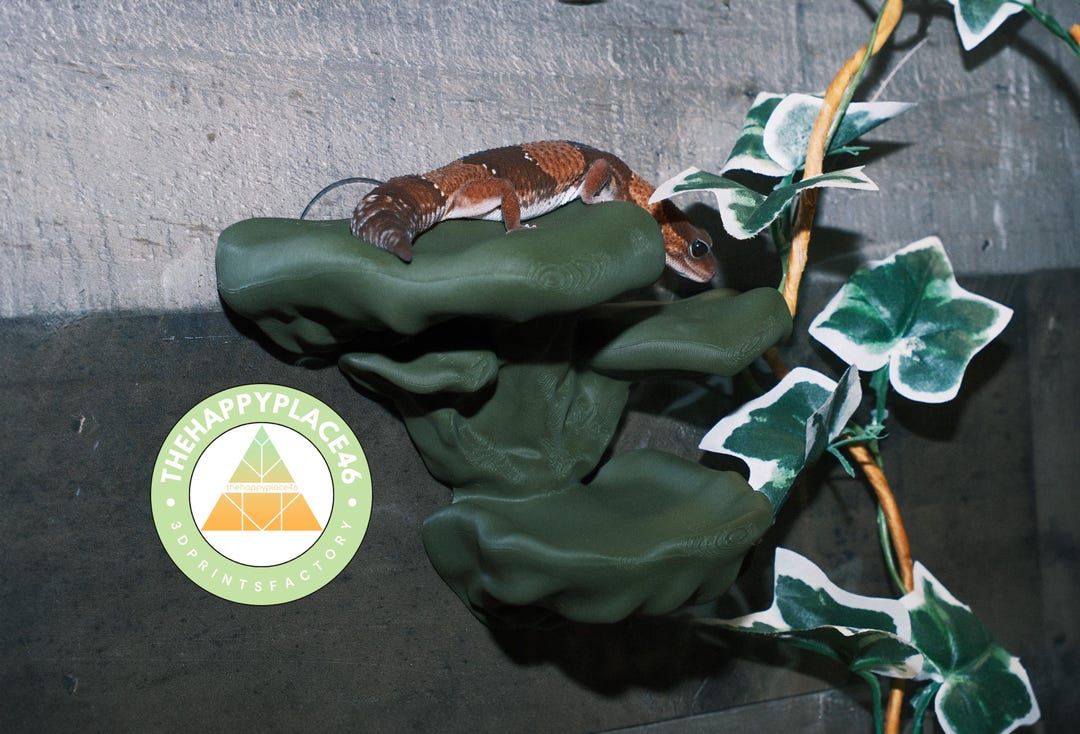 Frog and Gecko Ledge Perch Realistic Mushroom - Etsy