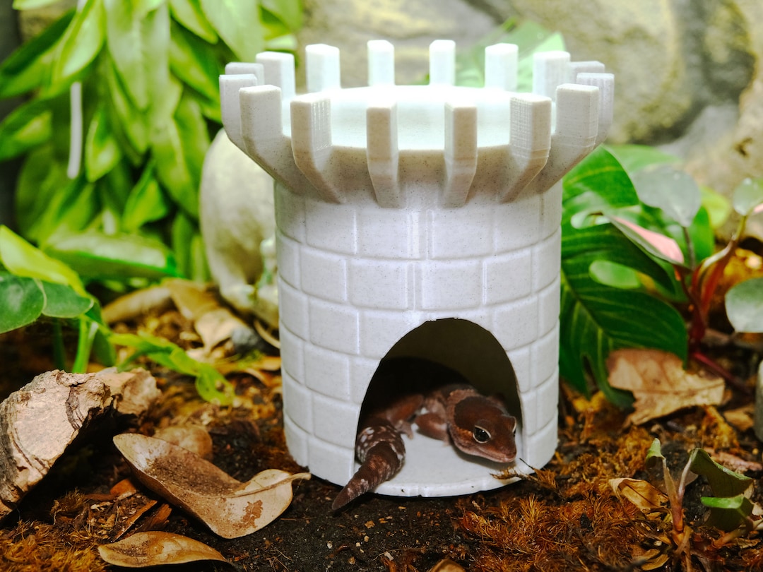 Castle Hide for Geckos Frogs and Snakes - Etsy