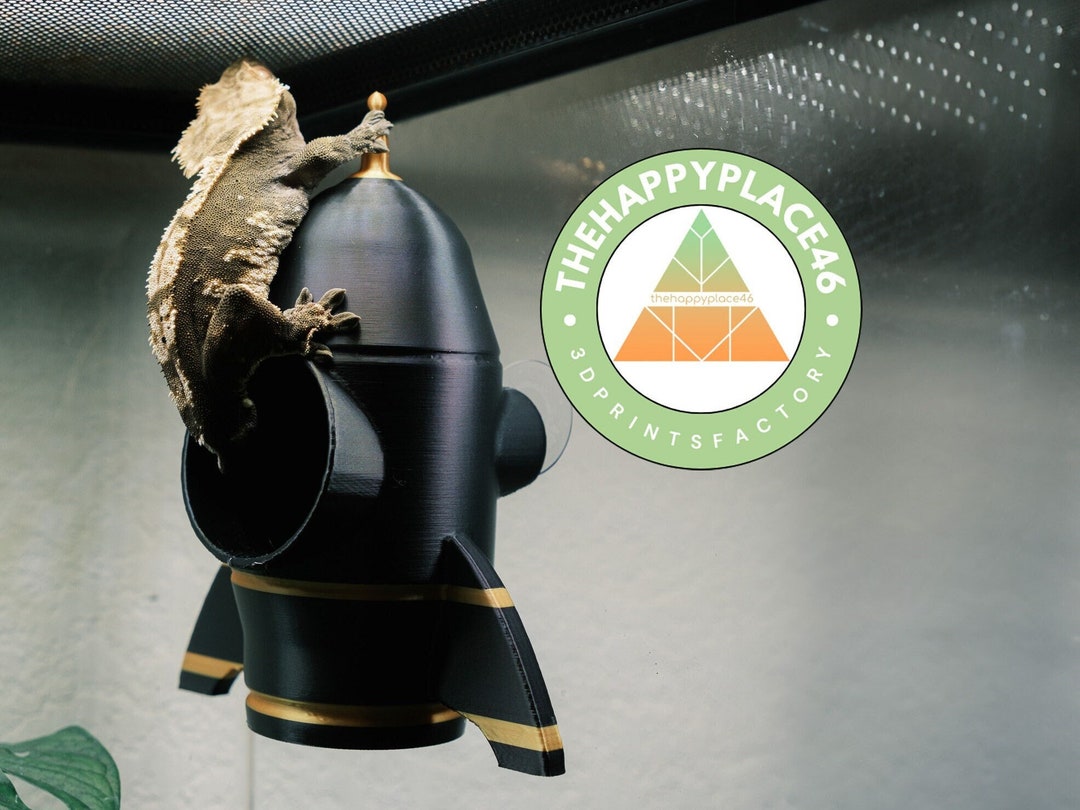 Crested Gecko and Frog Hide Rocket Ship - Etsy