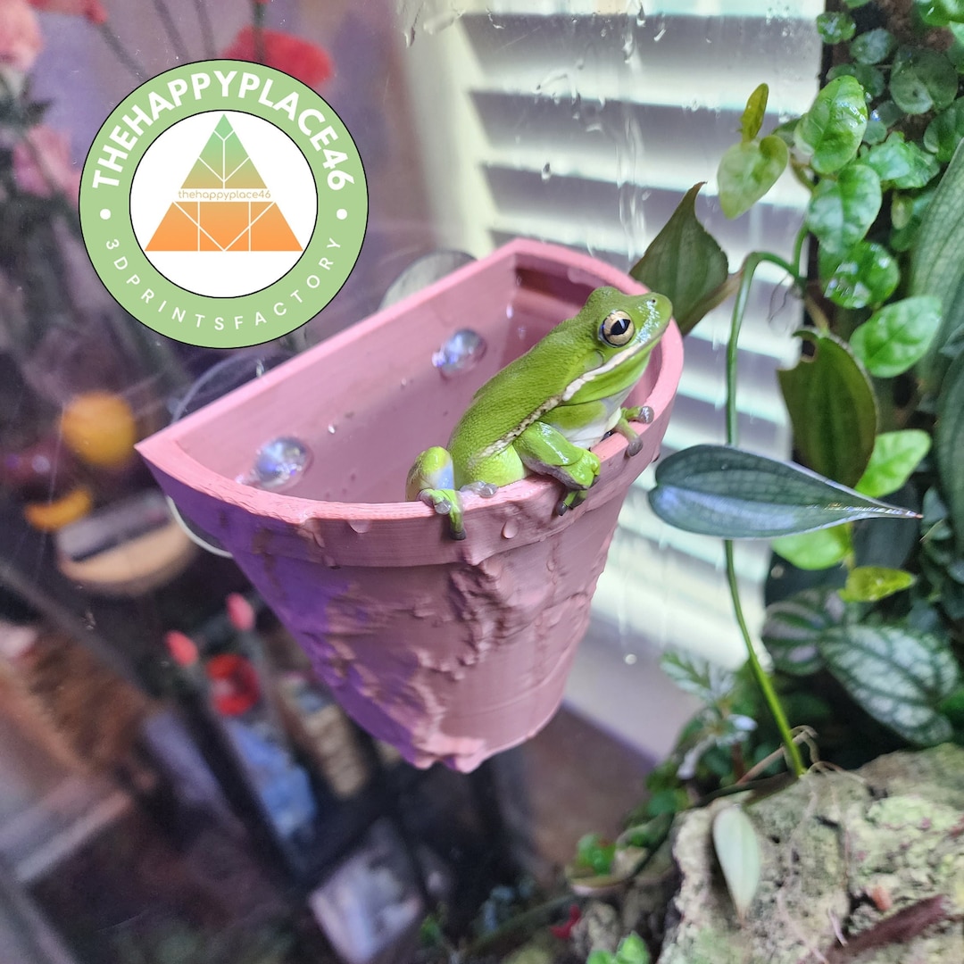 Frog and Reptile Hanging Pot Terrarium Decor - Etsy