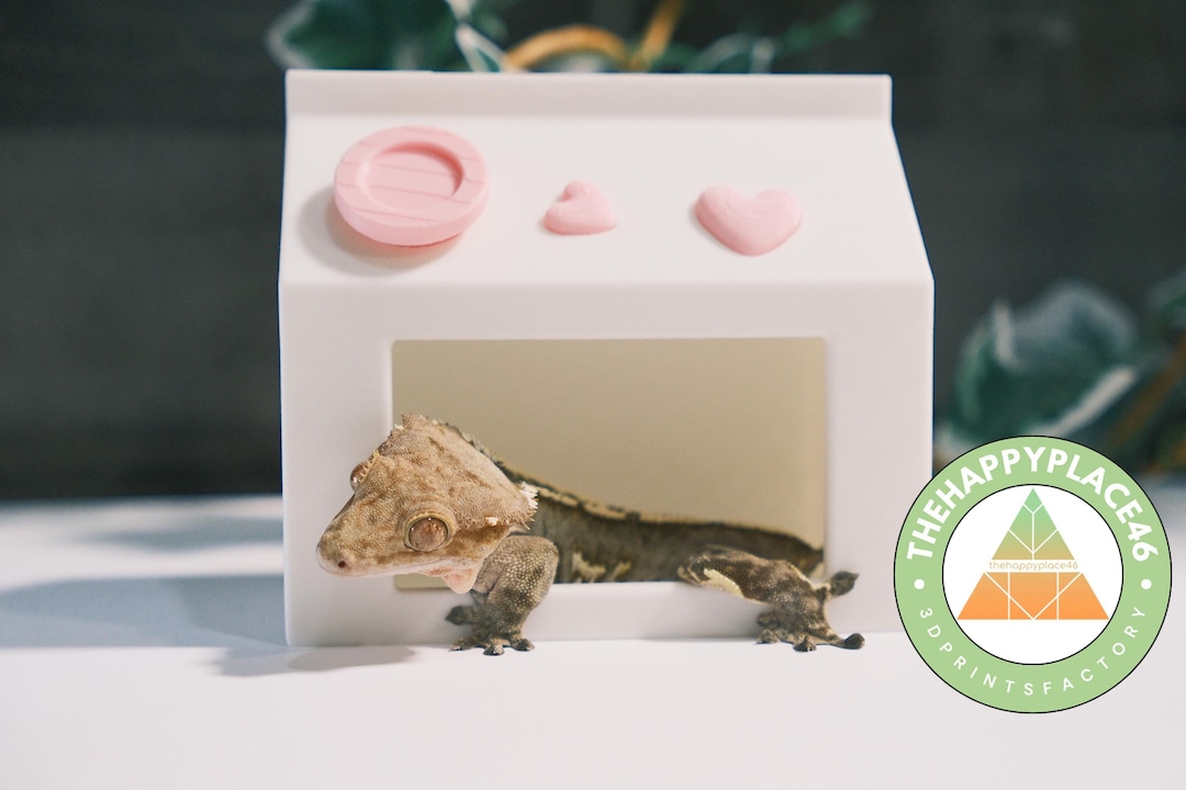 Crested Gecko and Frog Milk Carton Hide - Etsy