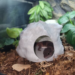 Rock Hide for Geckos and Snakes - Etsy