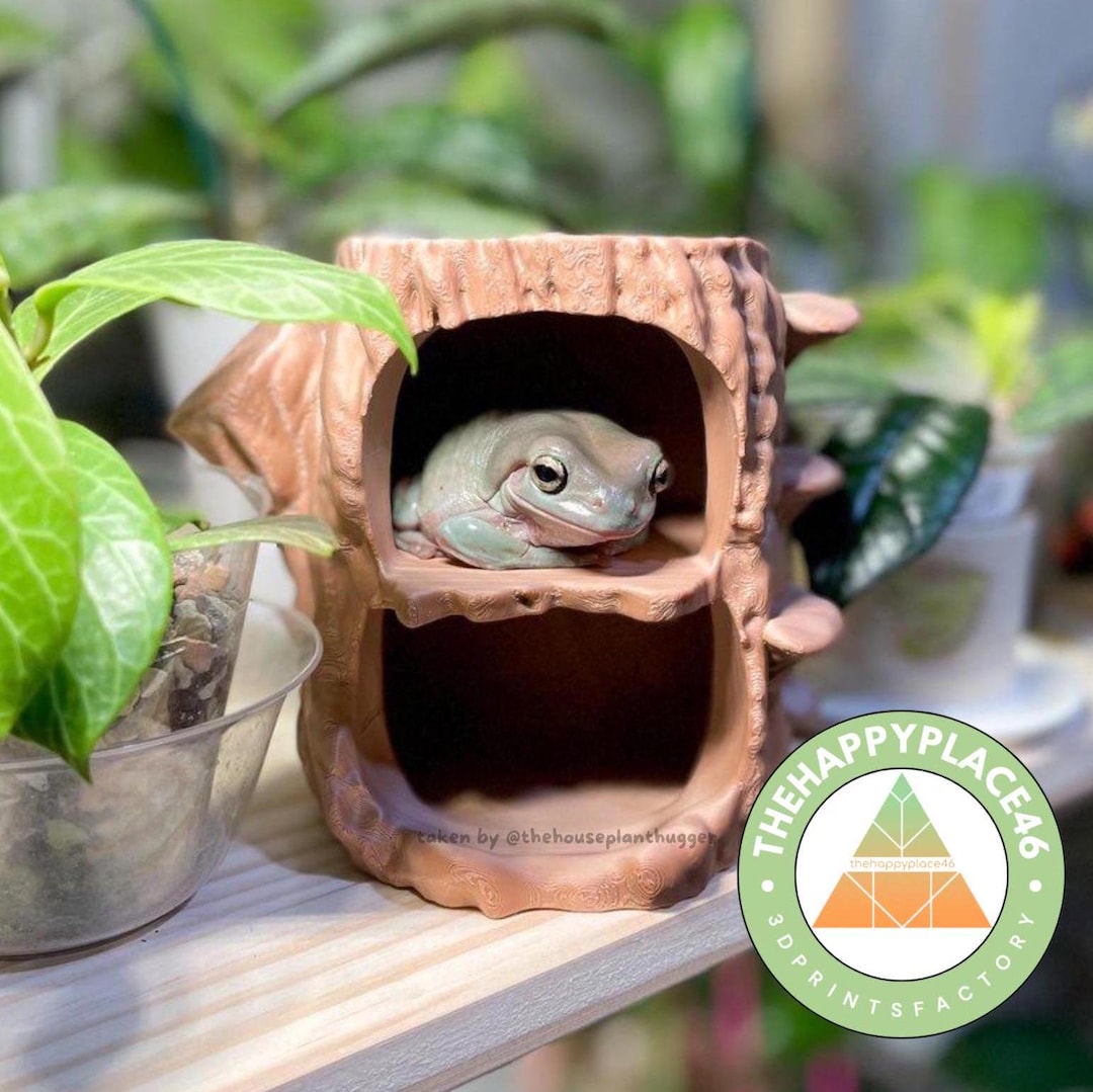 Crested Gecko and Amphibian Tree Trunk Hide - Etsy