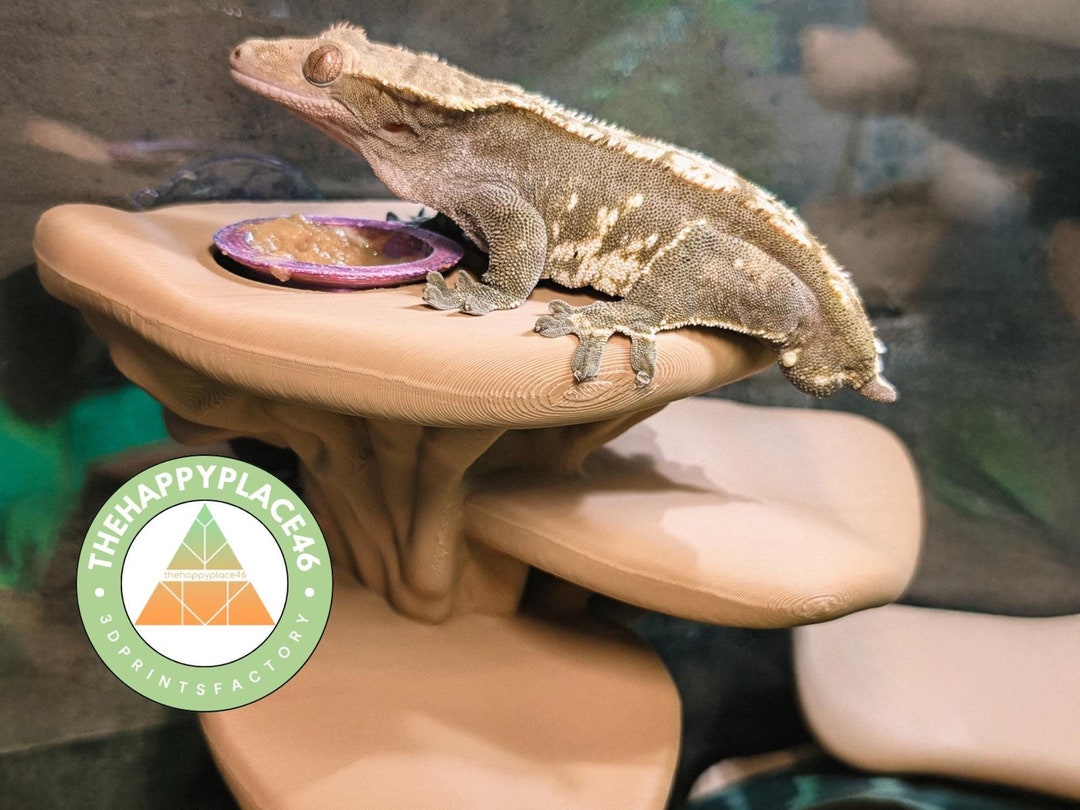 Crested Gecko Feeding Ledge Mushroom Multi Level - Etsy