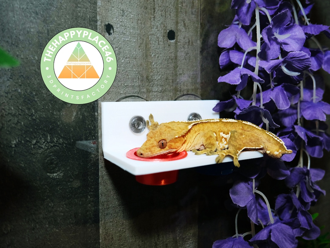 Crested Gecko Feeder Ledge With Included Reusable Cups, Reptile Feeding ...