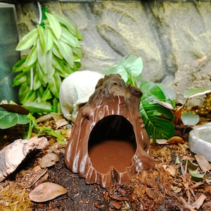 Tree Stump Gecko and Reptile Hide - Etsy