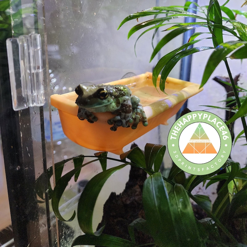 Frog Home Decor - Etsy