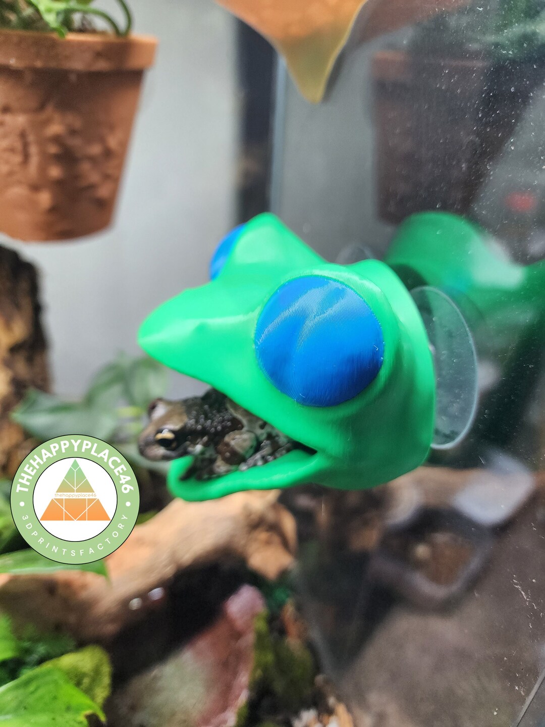 Treefrog Decorative Ledge Frog Hide - Etsy