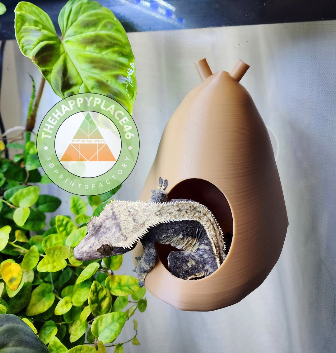 Gecko and Frog Teepee Hide With Optional Name Engraving - Etsy