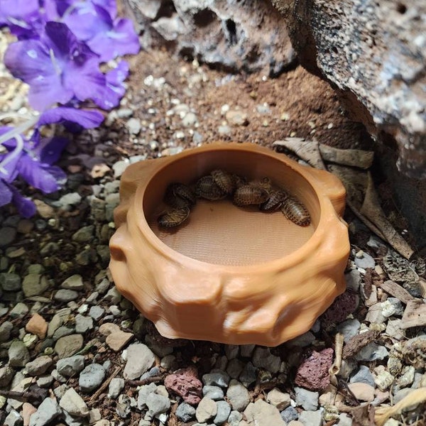 3d Printed Reptile Bowl - Etsy