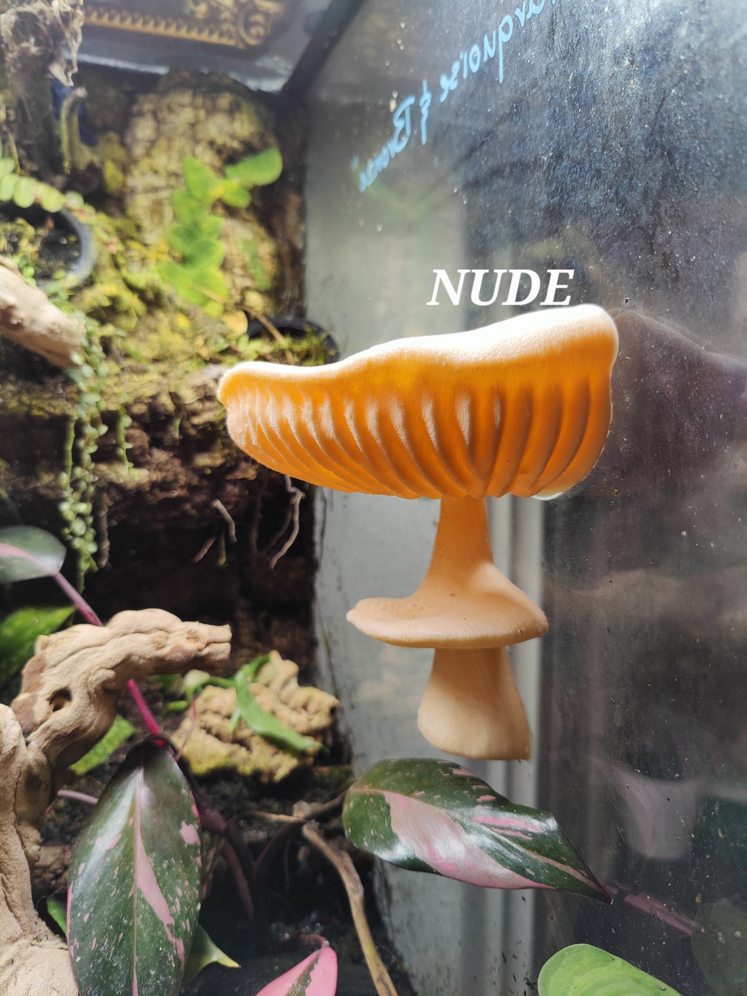 Frog and Reptile Hanging Mushroom Ledge - Etsy