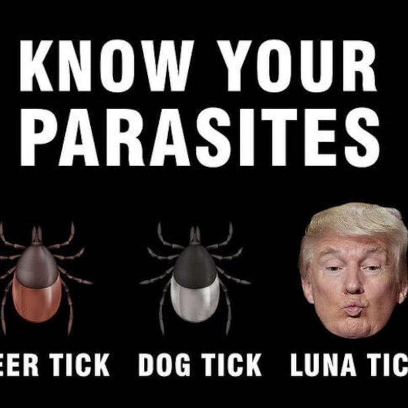 Trump Lunatic Sign - Etsy