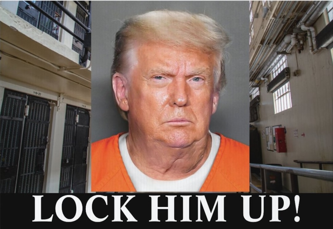 Mugshot - Lock Him up Anti-trump Yard Sign - 18x24" With Stake - Fast ...