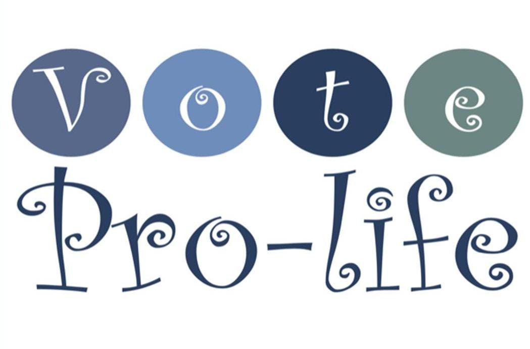 Vote Pro Life Yard Sign 18x24 With Stake Fast Free Shipping - Etsy