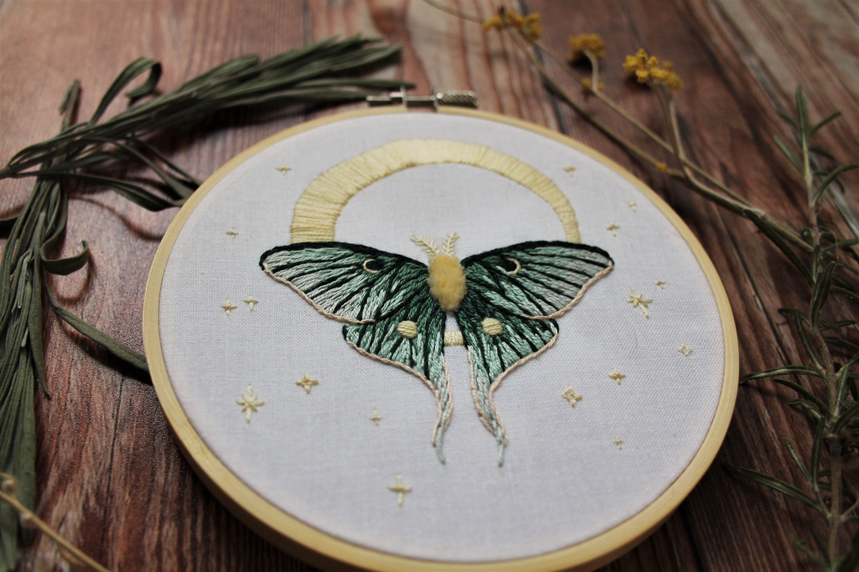 Luna Moth Embroidery Pattern PDF / Digital Hand Embroidery Pattern ...