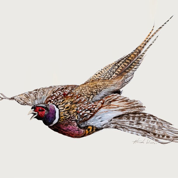 Game Bird Watercolor - Etsy