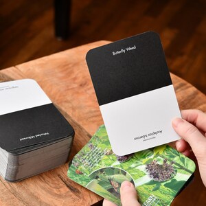Flash Cards to Learn Native Plant Names Learn Native Plants - Etsy