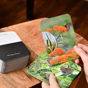 Flash Cards to Learn Native Plant Names, Learn Native Plants of the ...