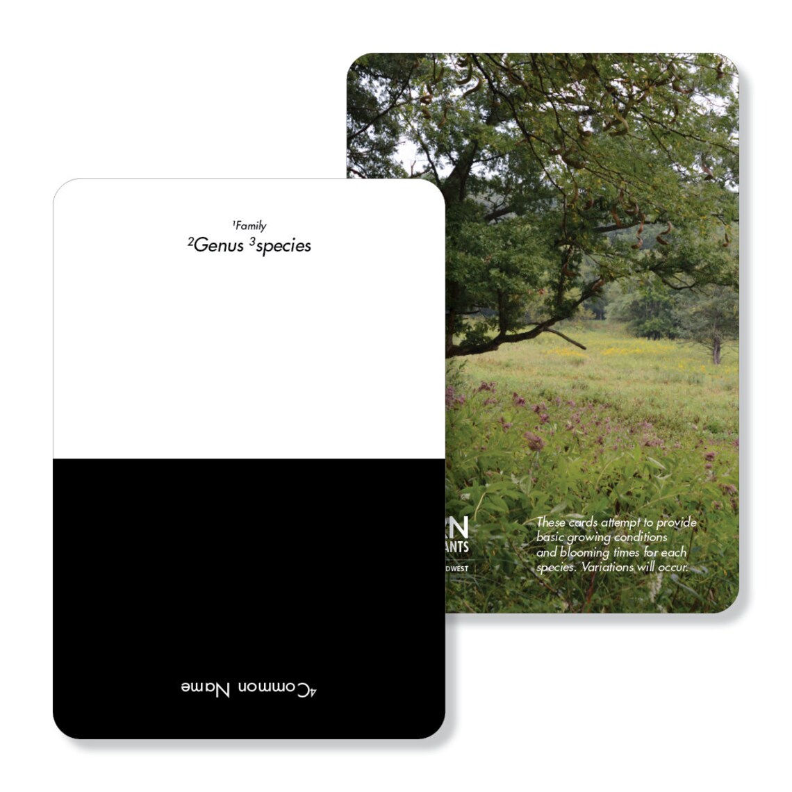 Flash Cards to Learn Native Plant Names Learn Native Plants - Etsy