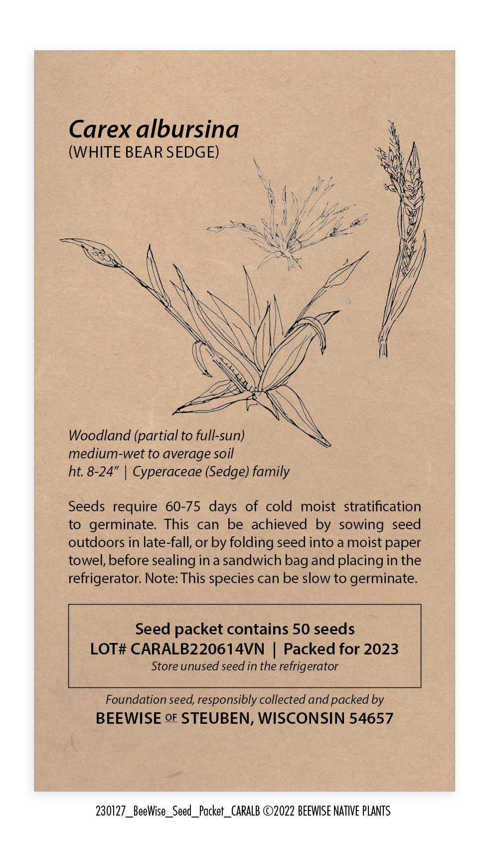 White Bear Sedge, Carex Albursina Native Plant Seeds - Etsy