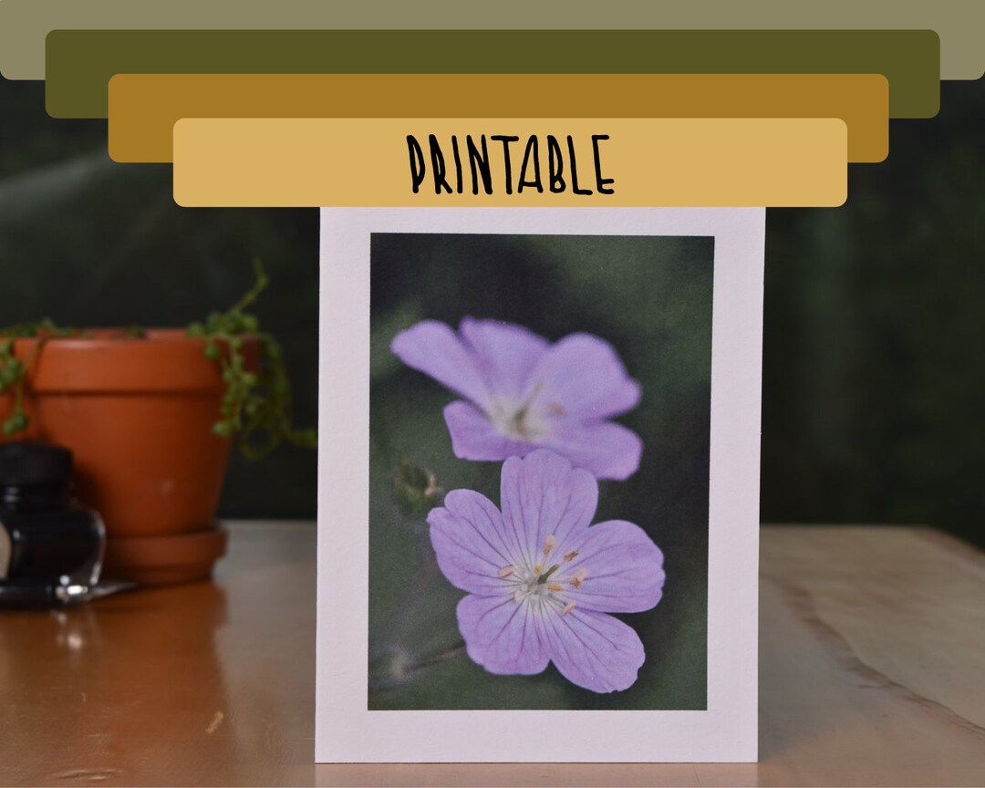 PRINTABLE Photo Geranium Spring Blank Greeting Card - Etsy