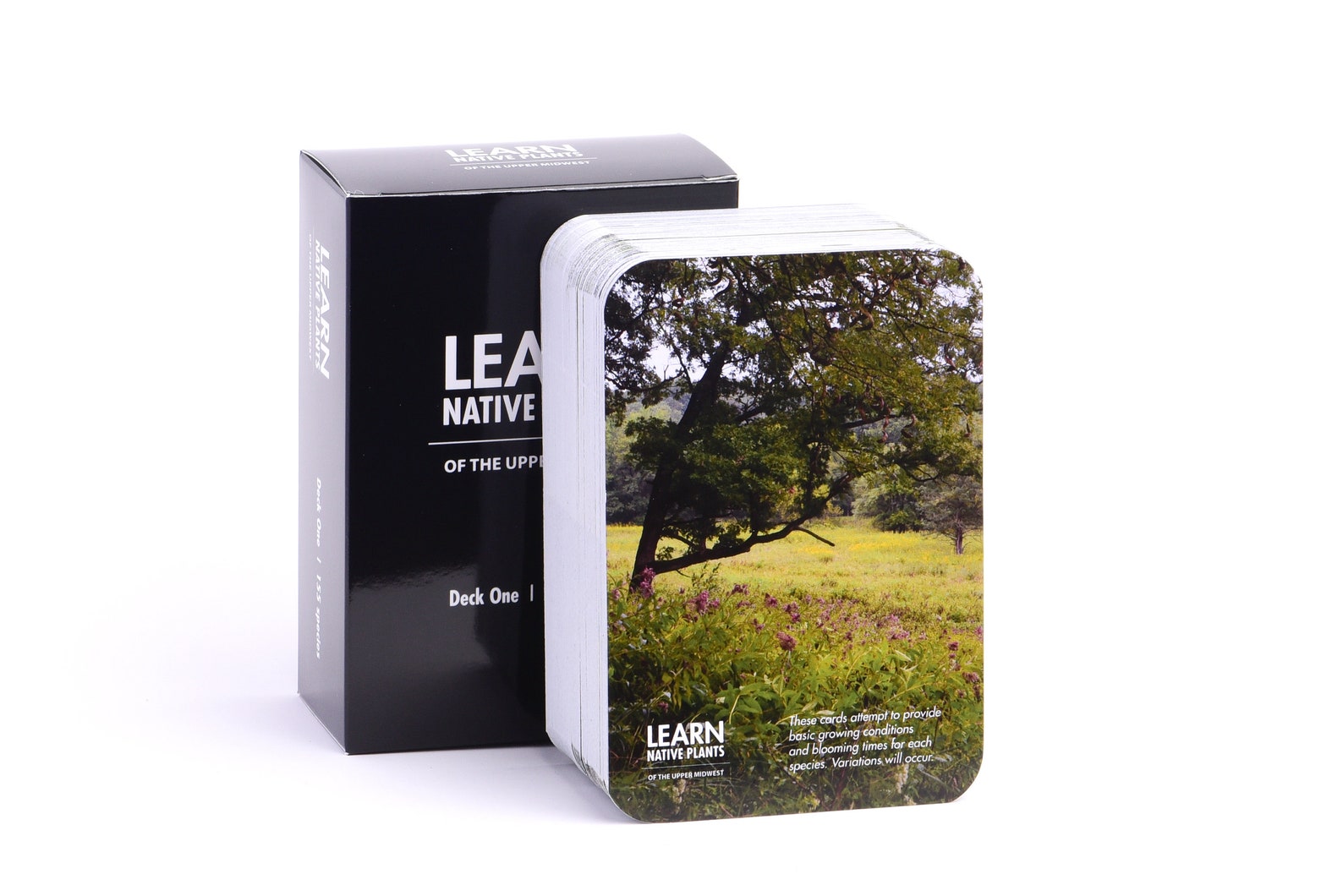 Flash Cards to Learn Native Plant Names Learn Native Plants - Etsy