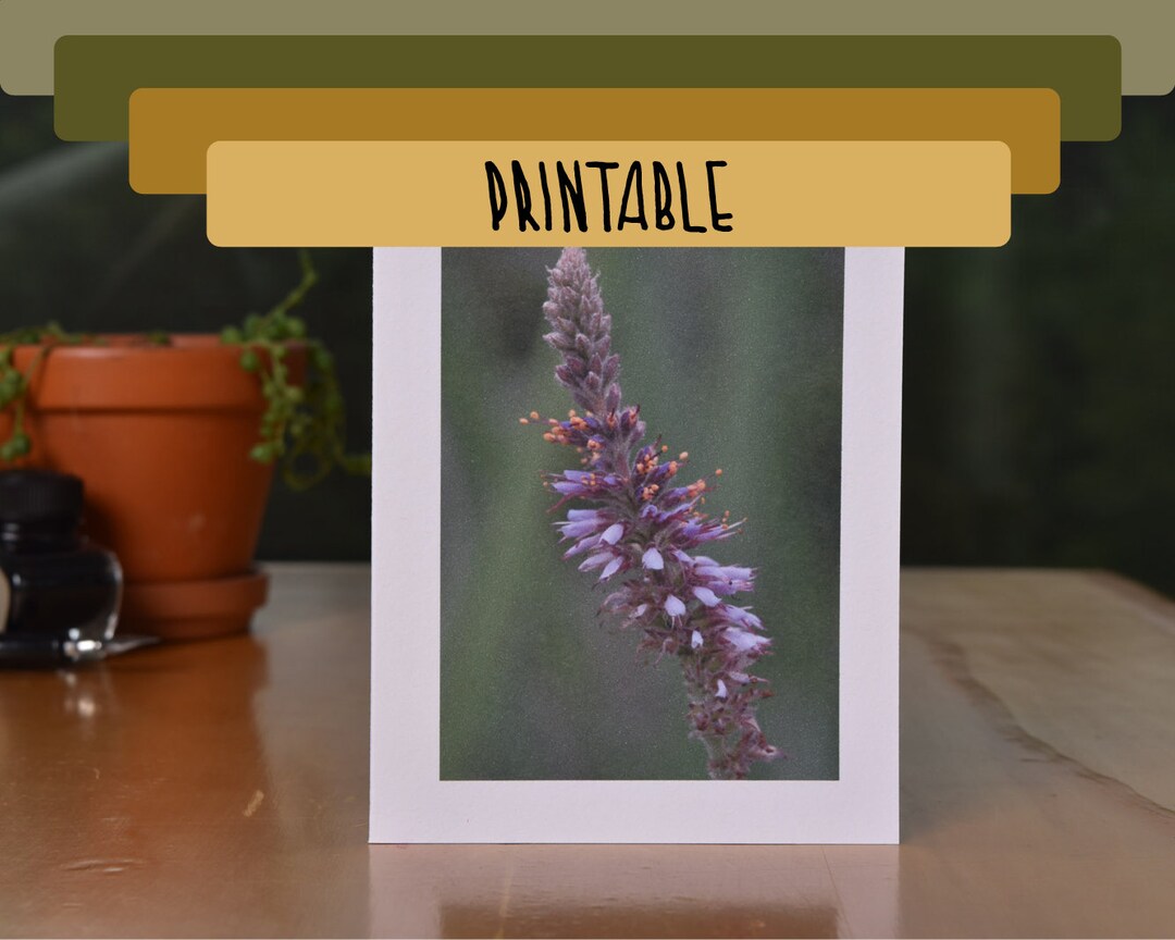 PRINTABLE - Photo Lead Plant Blank Greeting Card - Etsy
