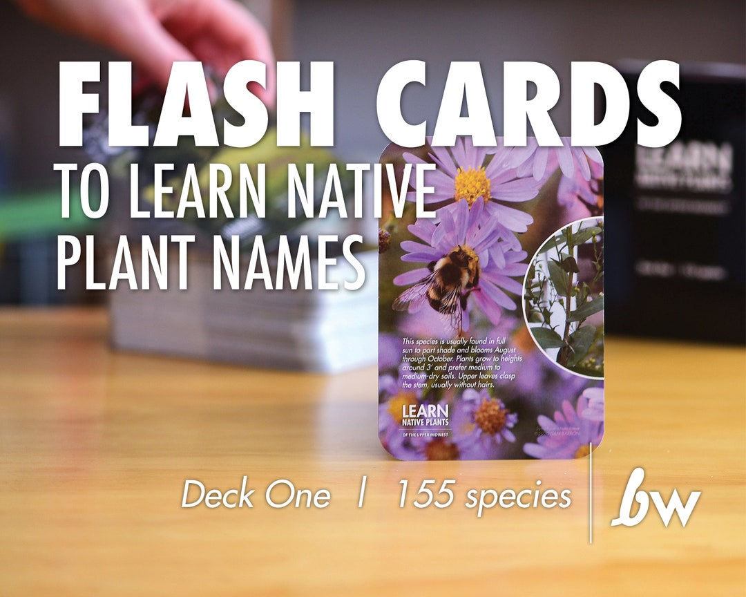 Flash Cards to Learn Native Plant Names Learn Native Plants - Etsy